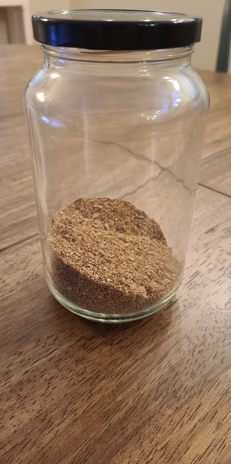 Lion's Mane Powder (Water Extraction) – Circular Harvest